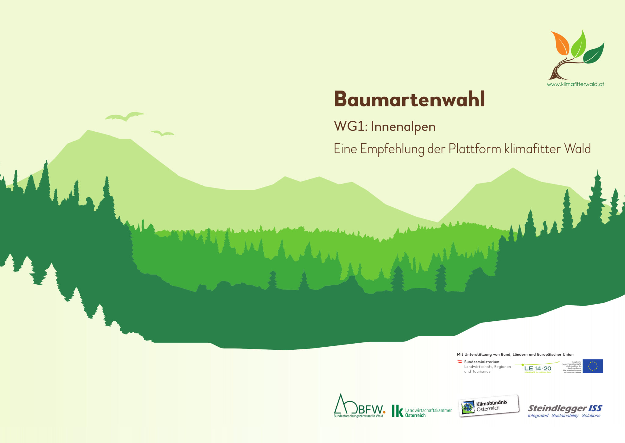 Neues BFW-Tool: Ampelsystem erleichtert Baumartenwahl - BFW