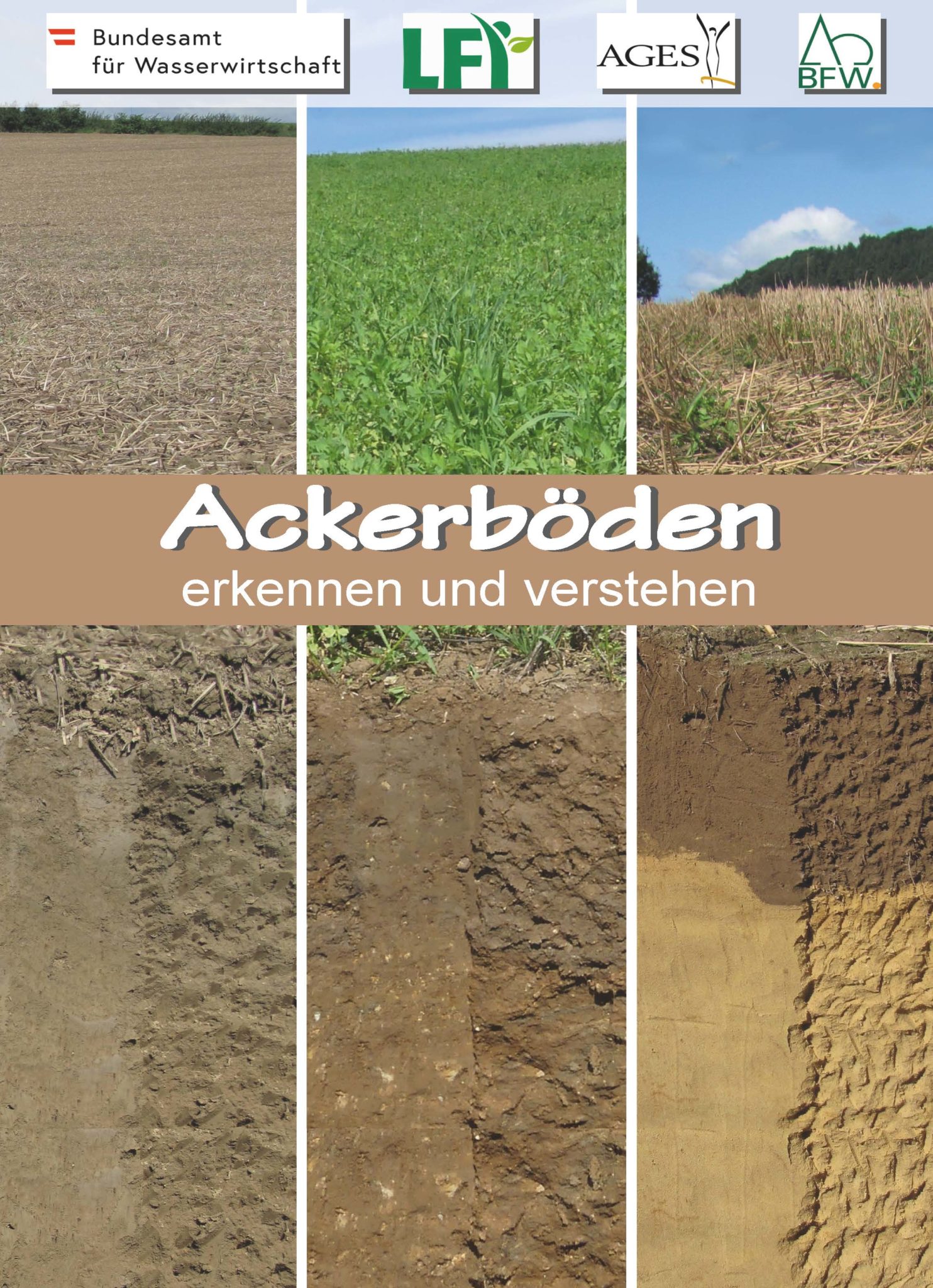 Bodentypen in der Landwirtschaft leicht erkennen - BFW