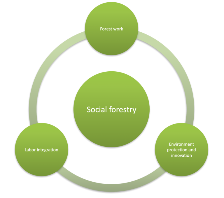 Social Forestry - BFW